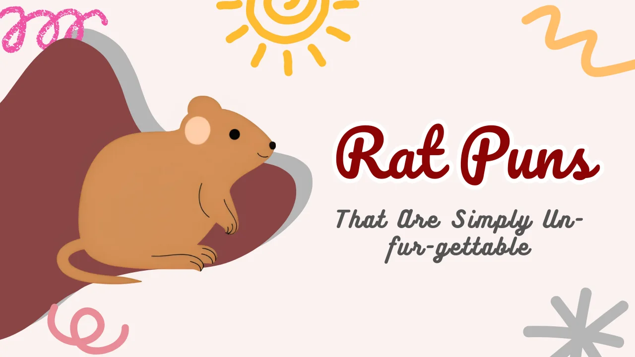 550+ Rat Puns: Funny, One Liners, Dirty, Rodent, Cute, Short